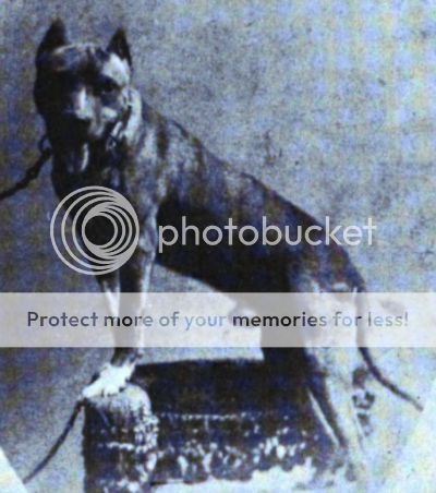 Historic Pit Bill Photos