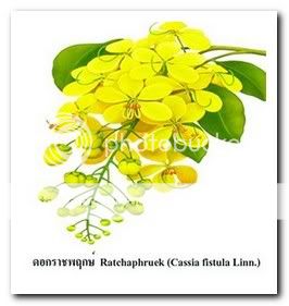 National Symbols | I am Thailand