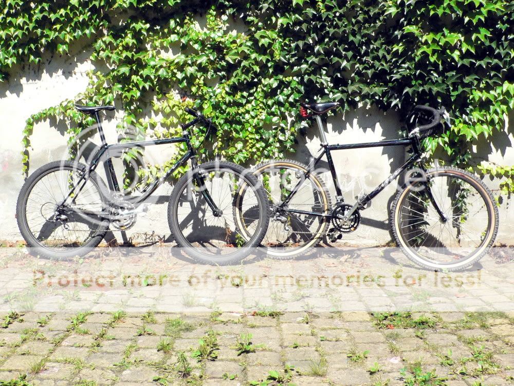 Ibis 1989 SS Kogler Special edition | Retrobike